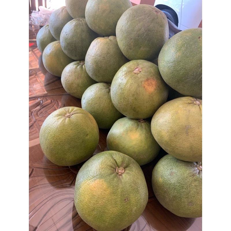 limau bali fresh dari kebun | Shopee Malaysia
