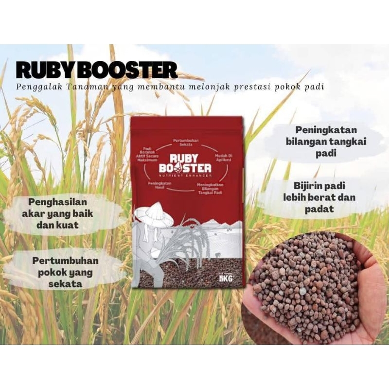 Ruby Booster (G-PLANTER) 5KG | Shopee Malaysia