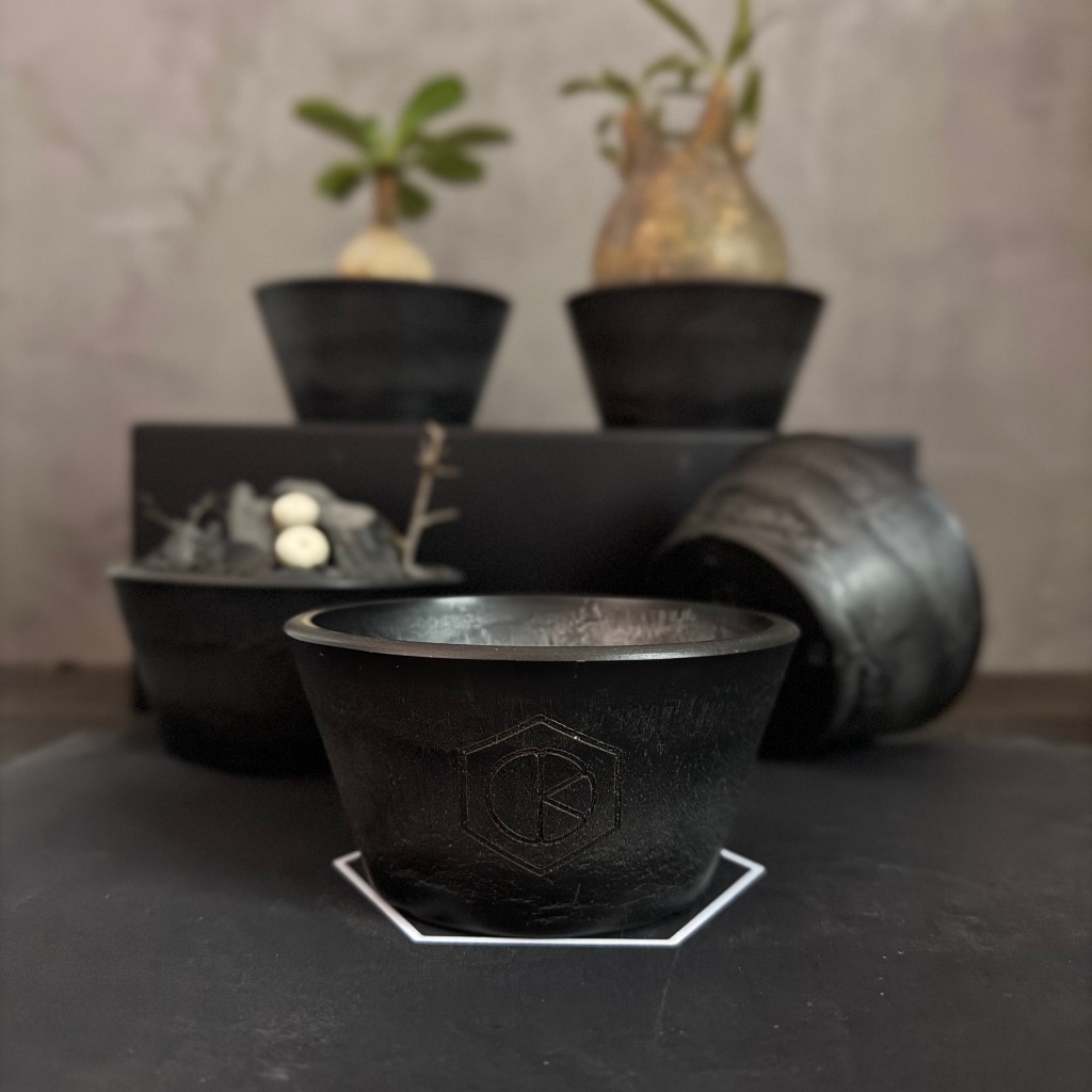 ROSHI LIFE Logo Caudex Pot 日式块根盆｜Agave pot l龙舌兰盆｜Cactus pot 仙人掌｜Black ...