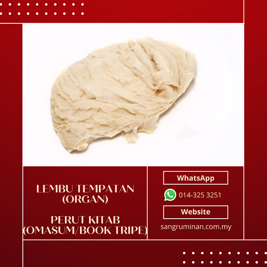(LEMBU TEMPATAN) Perut Kitab per kg | Shopee Malaysia