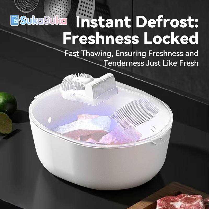 4-in-1 Rapid Defrosting Box | Multi-Functional Meat & Food Thawer ...
