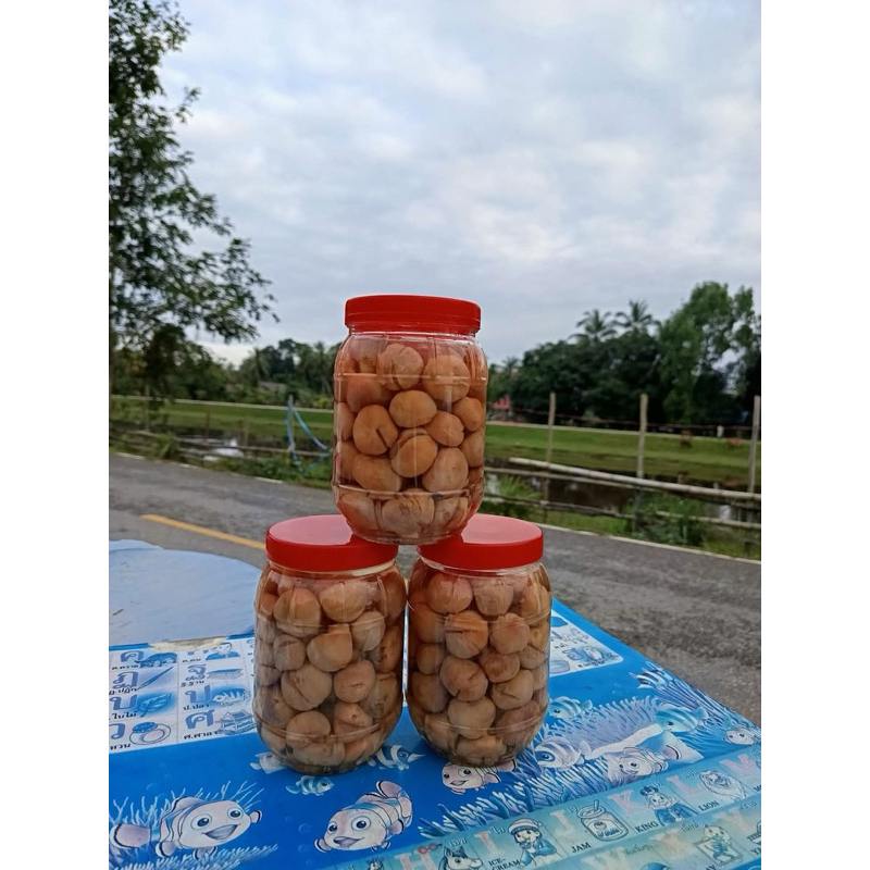 JERUK KELUBI MASAM MANIS KAMPUNG 500g | Shopee Malaysia