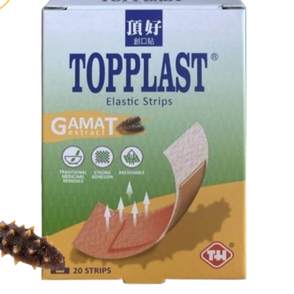 TOPPLAST ELASTIC STRIPS GAMAT AXTRACT 20 + 10 STRIPS (BOX) | Shopee ...