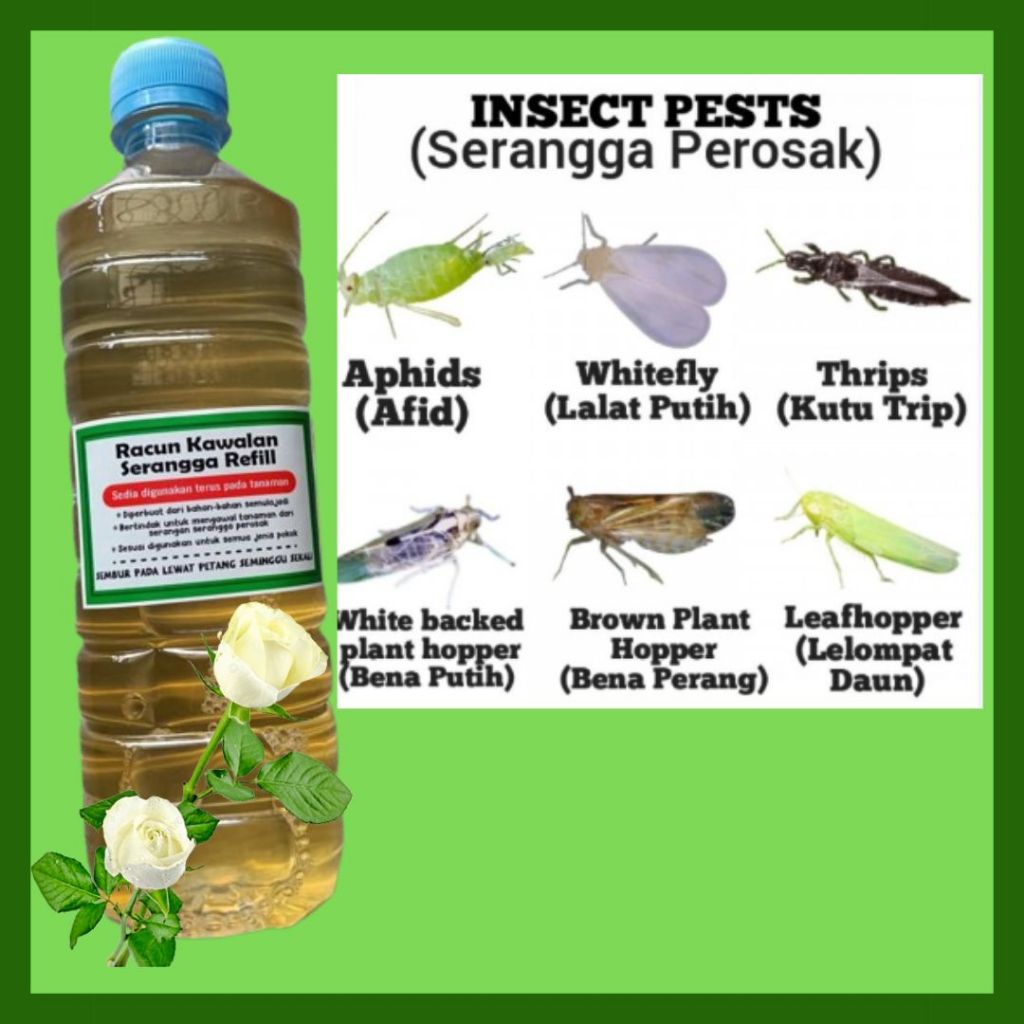 Racun Kawalan Serangga / Racun Selamat/Racun Tanaman/Racun Ulat/Racun ...