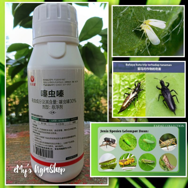 Actara/Bena perang 500ml (Thiamethoxam 30% kuat) | Shopee Malaysia