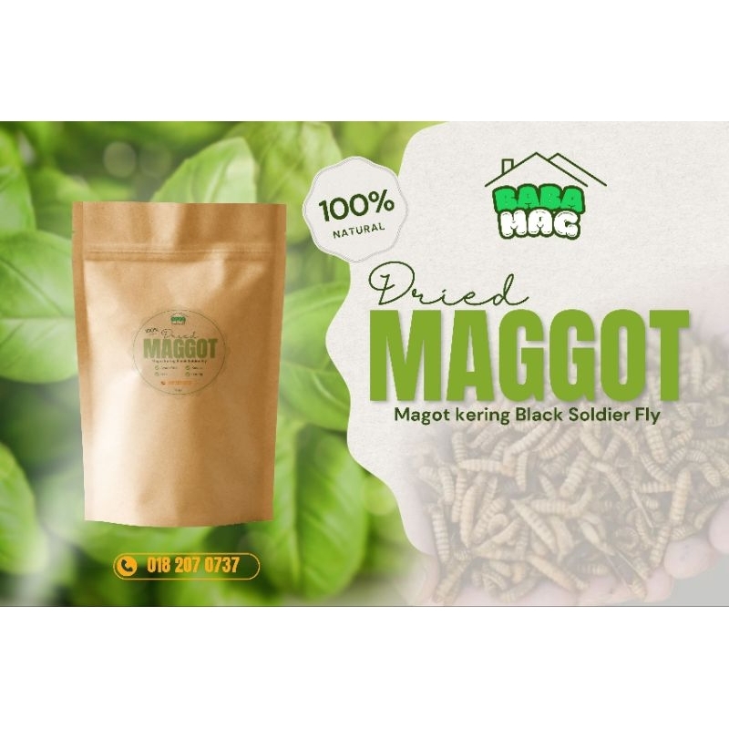 Dried Black Soldier Fly (BSF) Larvae | BSF Maggot | BSF Kering | BABA ...