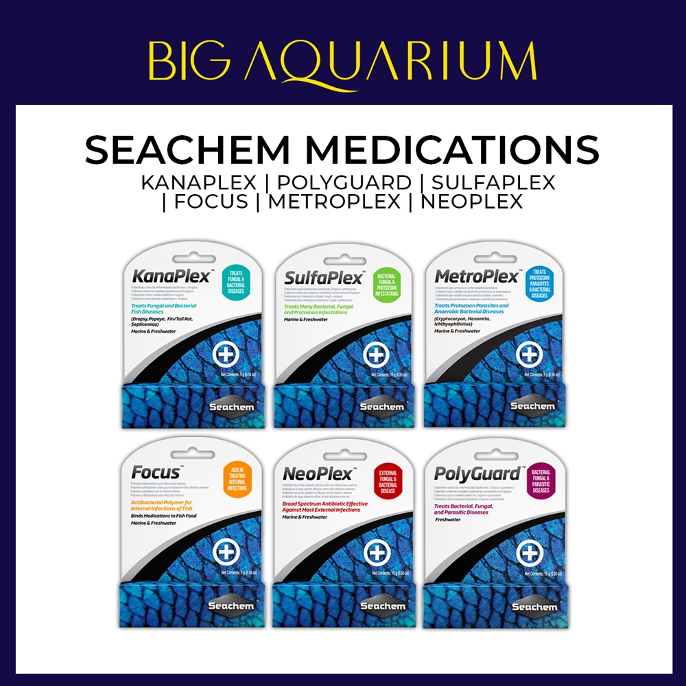 Seachem KanaPlex / MetroPlex / Focus / Sulfaplex / Neoplex / Polyguard ...