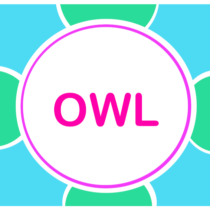 ADM - OWL FR IN TYPE S3 GAME EDITION (PC GAME) | Shopee Malaysia