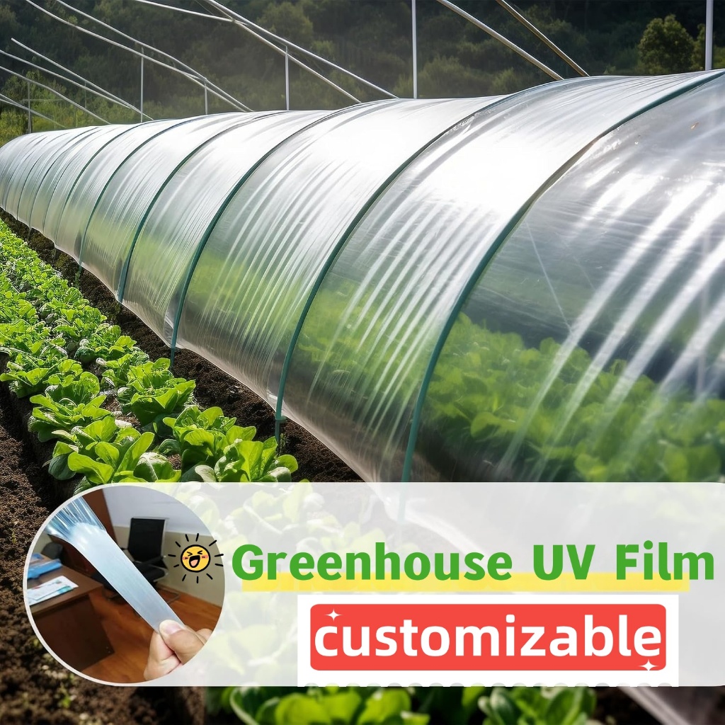 (200 Microns) UV Plastic Sheet greenhouse, garden protective ...