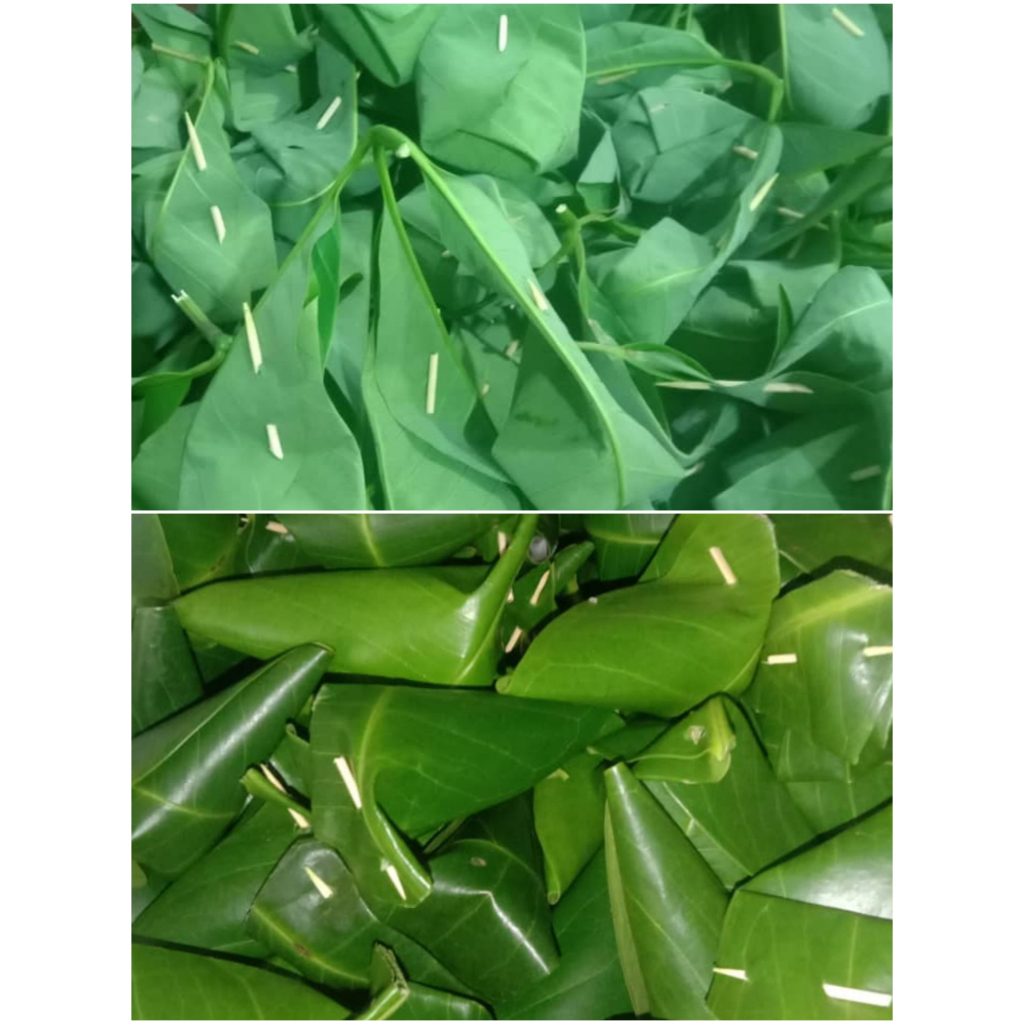 Tapai Pulut Tok Maa Daun Getah @ Daun Jambu | Shopee Malaysia