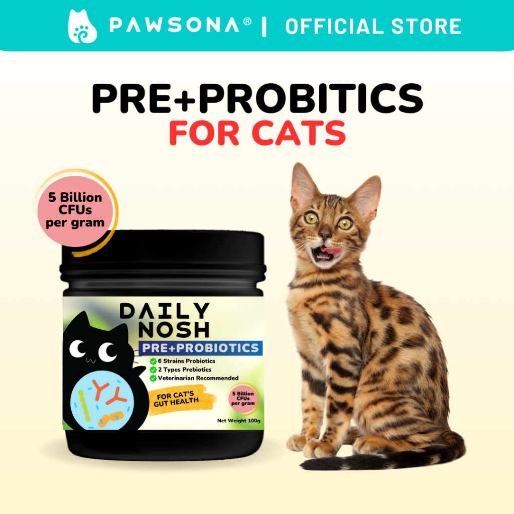 PAWSONA® Daily Nosh Prebiotic + Probiotic Powder For Cat 100g | Pre ...