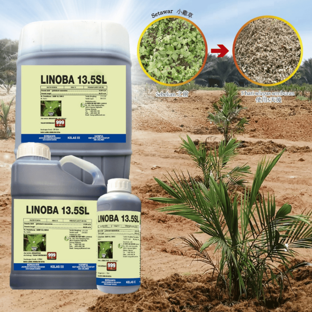 (1L) Linoba 13.5SL Racun Rumpai Setawar untuk Pokok Kelapa Sawit ...