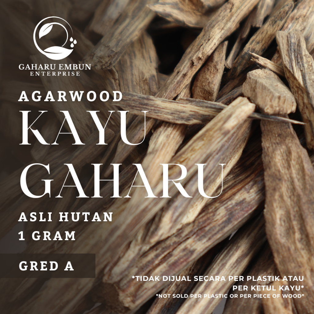 GAHARU EMBUN Gred A Asli Hutan Kayu Gaharu (Agarwood Chip) 1 GRAM | Shopee Malaysia
