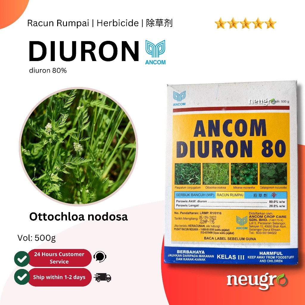 Ancom DIURON 80 (500g)- Racun Rumpai Rumput Sambau Sawit/ Nanas/ Getah ...
