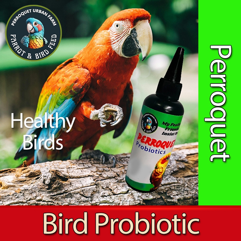 Perroquet Super Probiotics Parrots Bird Diarrhea Gastrointestinal ...