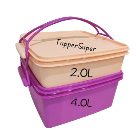 **Tupperware Jumbo Goody Box 2L & 4L with Cariolier pinic/potluck ...