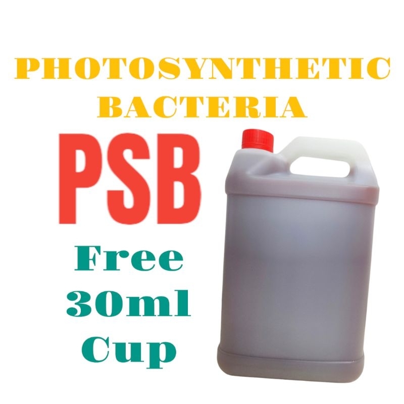 PHOTOSYNTHETIC BACTERIA (PSB) 5L ~AQUARIUM /TUMBUHAN ~ PERCUMA 30ML CUP ...