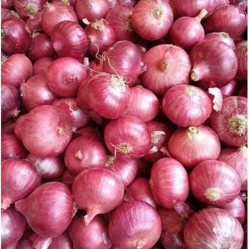 BAWANG MERAH INDIA KECIL 1 KG | Shopee Malaysia