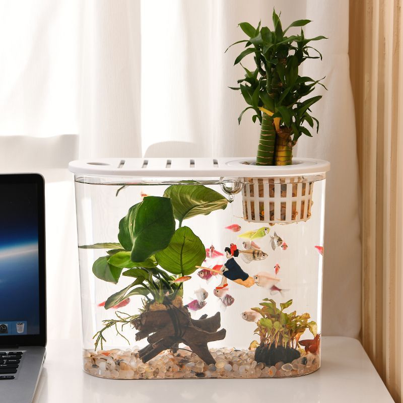 Fish Tank Desktop HD Transparent Ecological Living Room Transparent ...