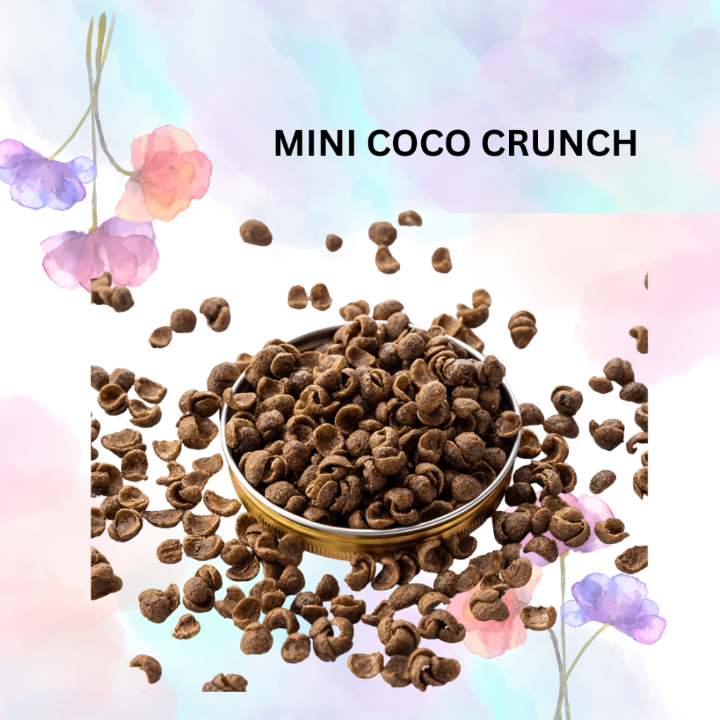 Mini Koko Krunch / Mini Coco / Cocojar Coco Crunch ( Chocolate ...
