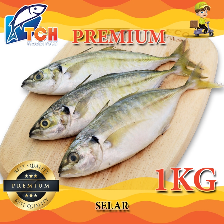 PREMIUM SELAR , YELLOW FISH , TCH FROZEN FOOD, FRESH FROZEN SEAFOOD ...