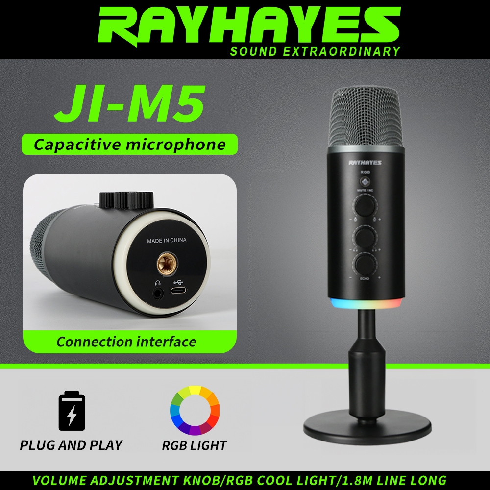 RAYHAYES Podcast Dynamic Microphone USB Dual Mode Mic RGB USB Gaming ...