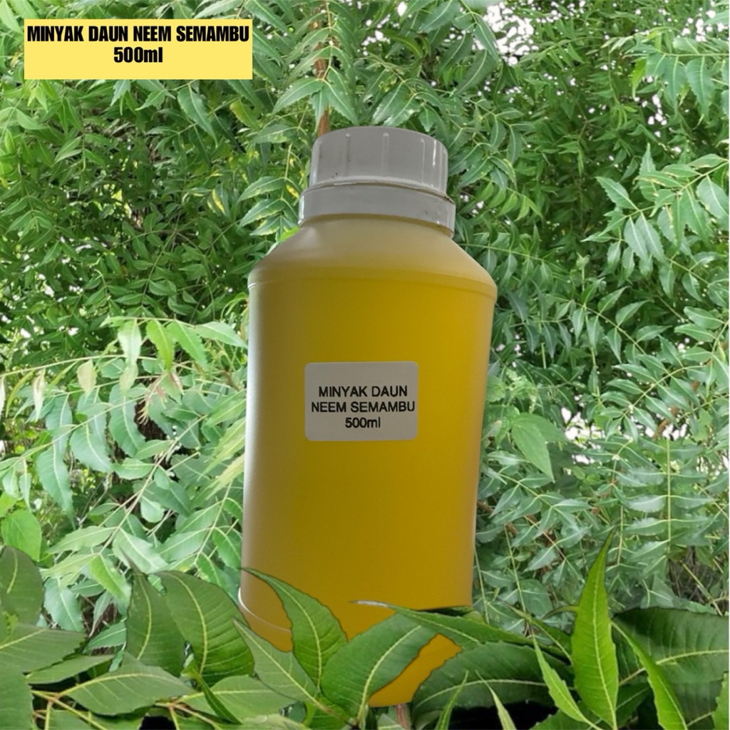 MINYAK DAUN NEEM SEMAMBU 500ml(buatan coldpress) | Shopee Malaysia