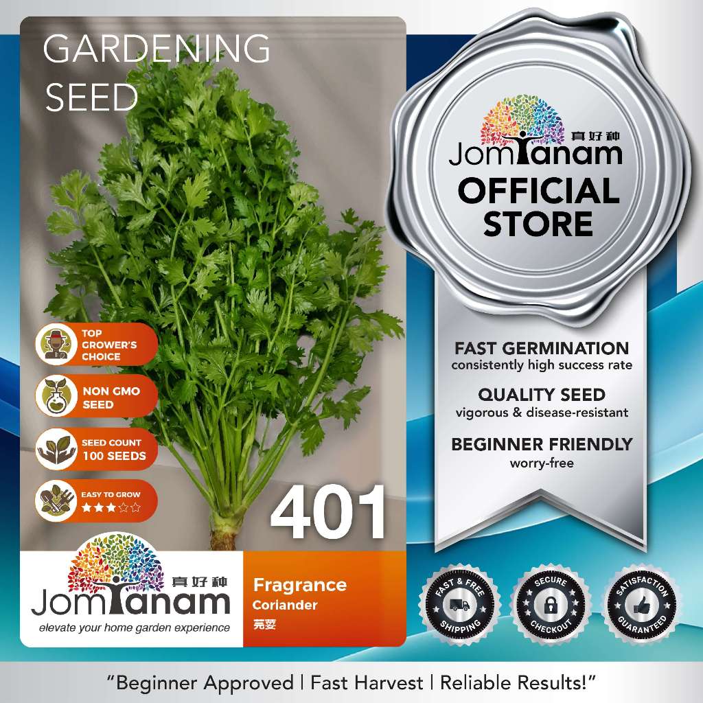 Coriander Herbs Seed Fragrance 401 JOM TANAM Benih Herbal Ketumbar 芫荽种子 ...