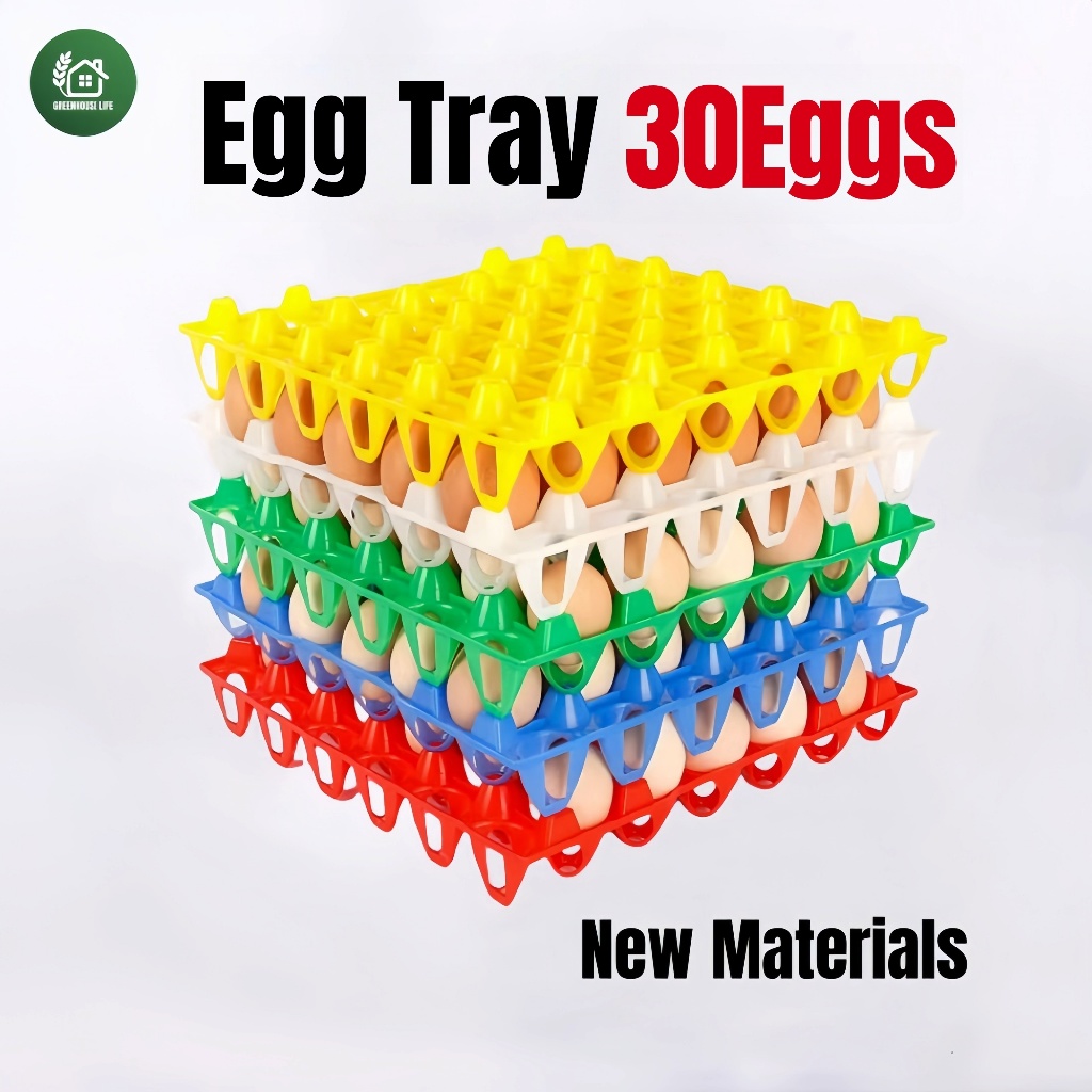 Bekas Telur Egg Storage Box Egg Tray Plastic Sarang Telur Tray Telur ...