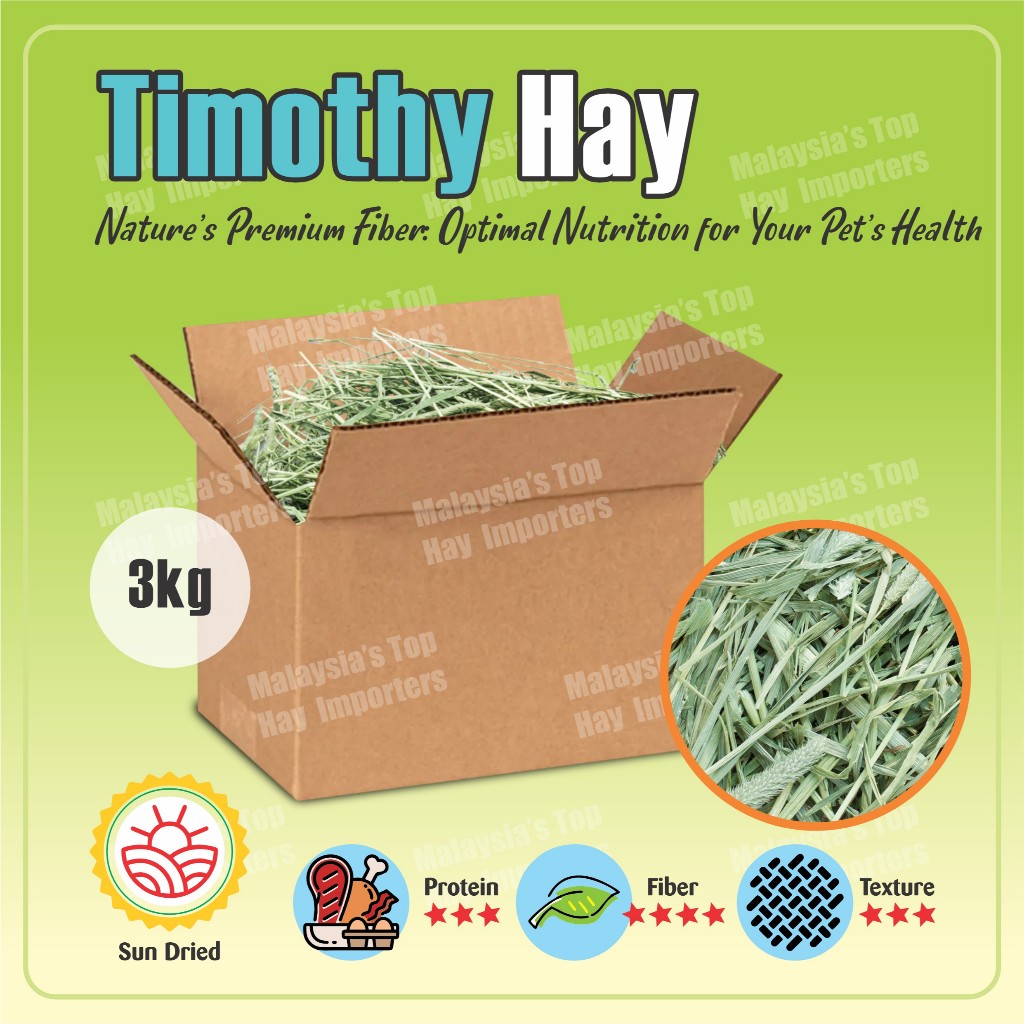 Dust Free Premium filtered imported hay Timothy/ Alfalfa / Orchard Hay ...
