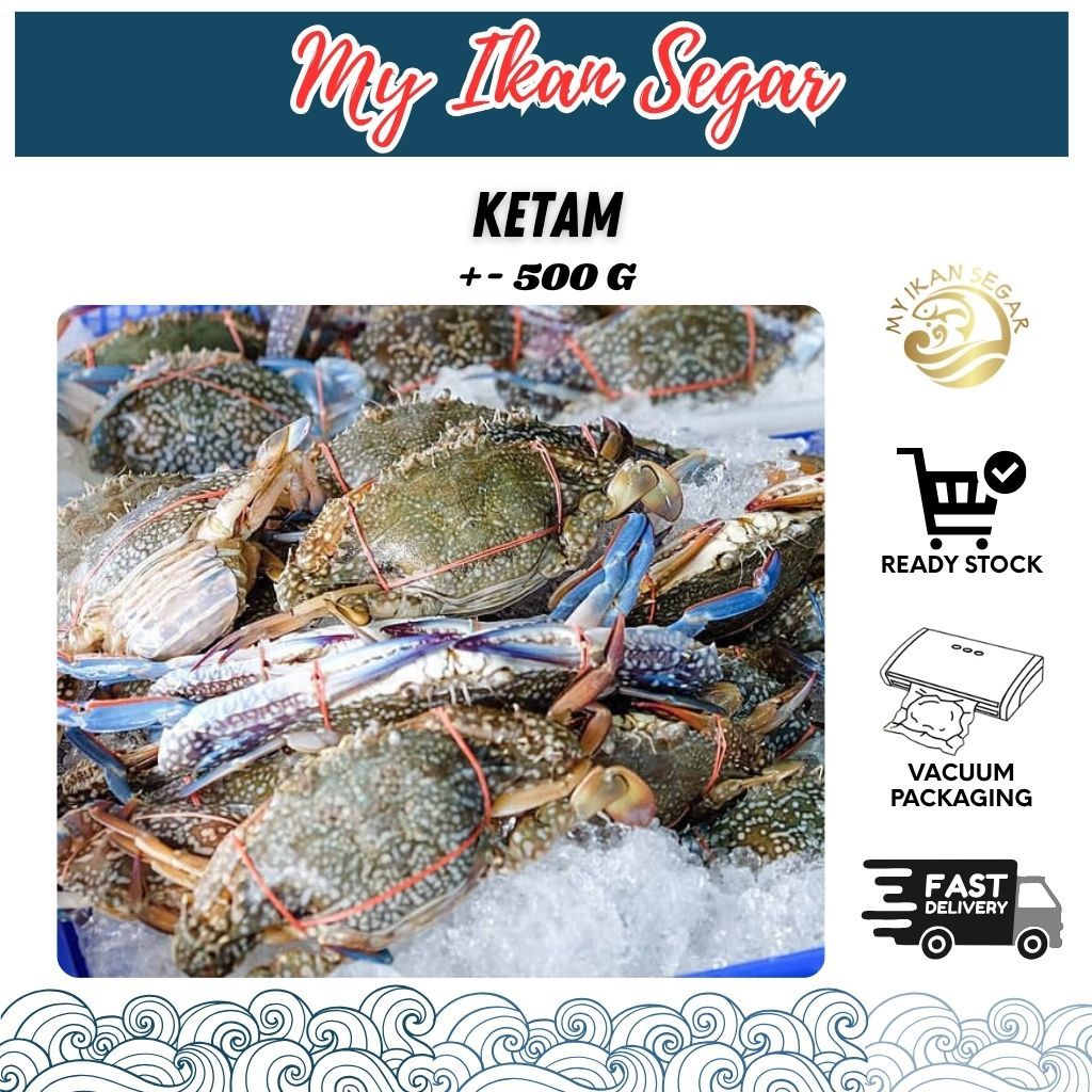 KETAM BUNGA FLOWER CRAB 500G 花蟹 螃蟹 CRAB KETAM FRESH CRAB [DELIVERY 1 ...