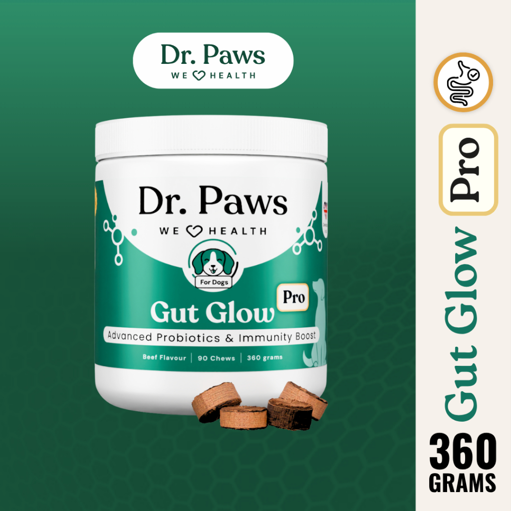 Dr. Paws Gut Glow PRO Probiotic Chews for Dogs | Shopee Malaysia