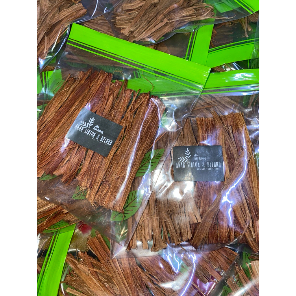 Akar Sintok & Beluru (Tuan Gunung) | Shopee Malaysia