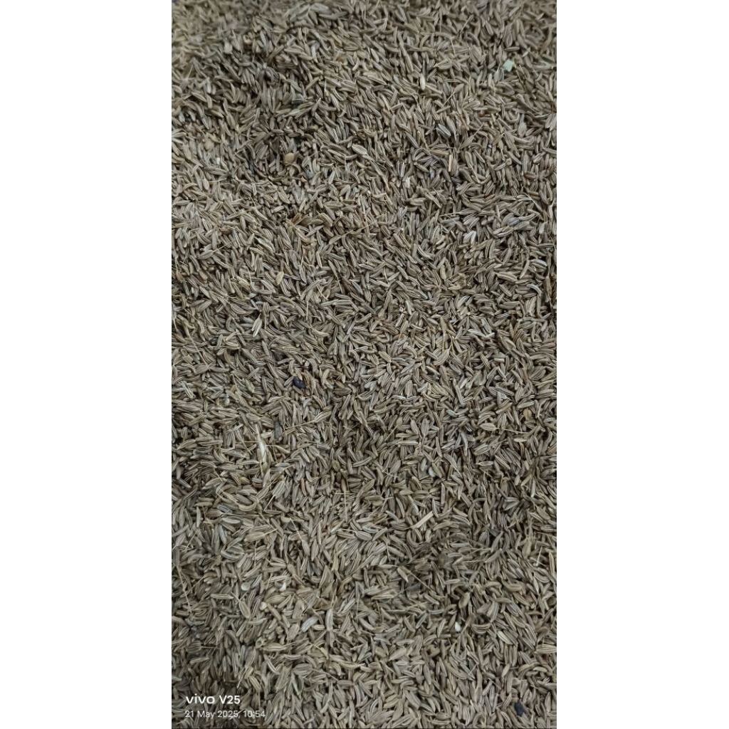 HERBA/ REMPAH SAJIRA KERING ( per kg ) | Shopee Malaysia