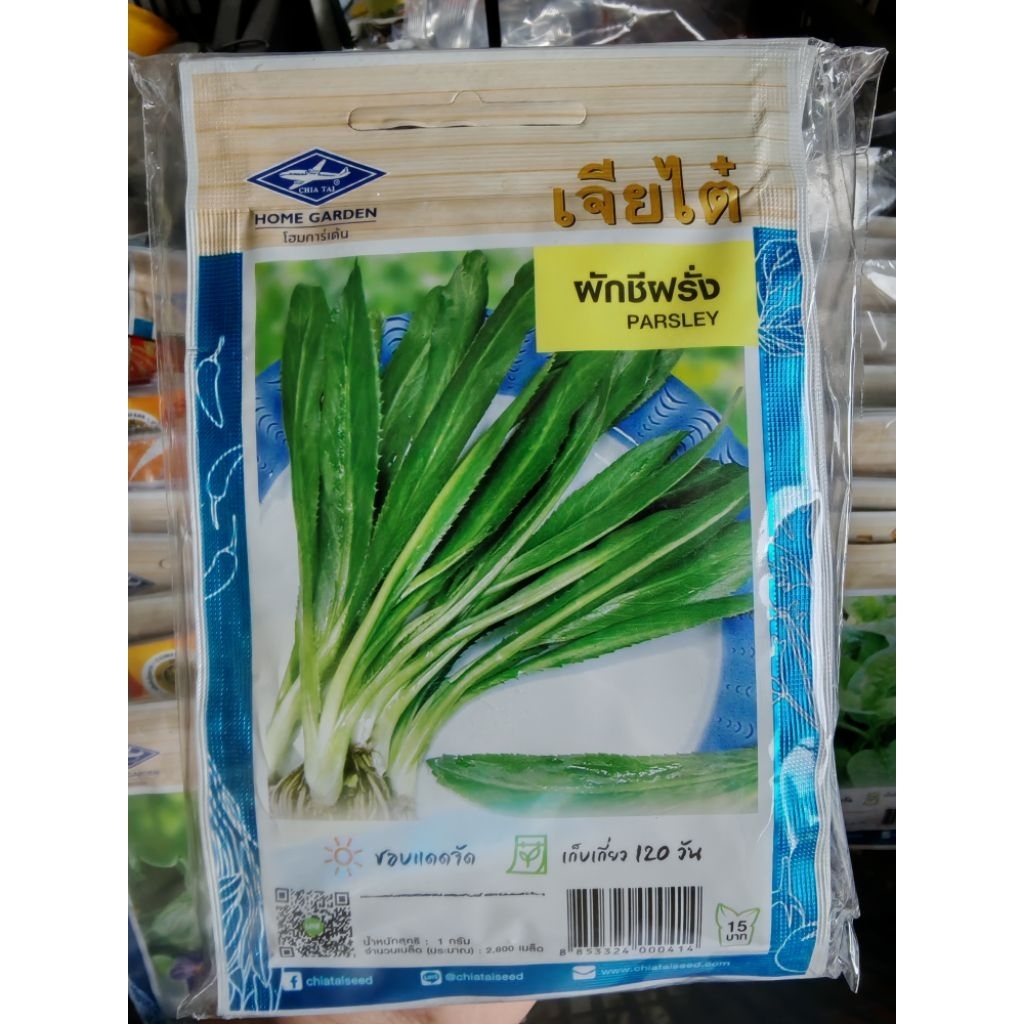 Thai Parsley seeds 1g.เมล็ดผักชีฝรั่ง | Shopee Malaysia