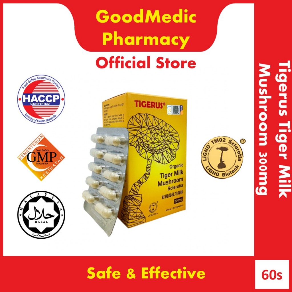 TIGERUS Organic Tiger Milk Mushroom Sclerotia Cendawan Susu Harimau 虎乳芝 ...