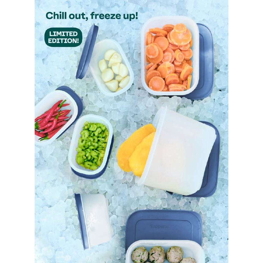 Tupperware Freezer Mates Gen II Set (1.1L or 450ml or 170ml) | Shopee ...