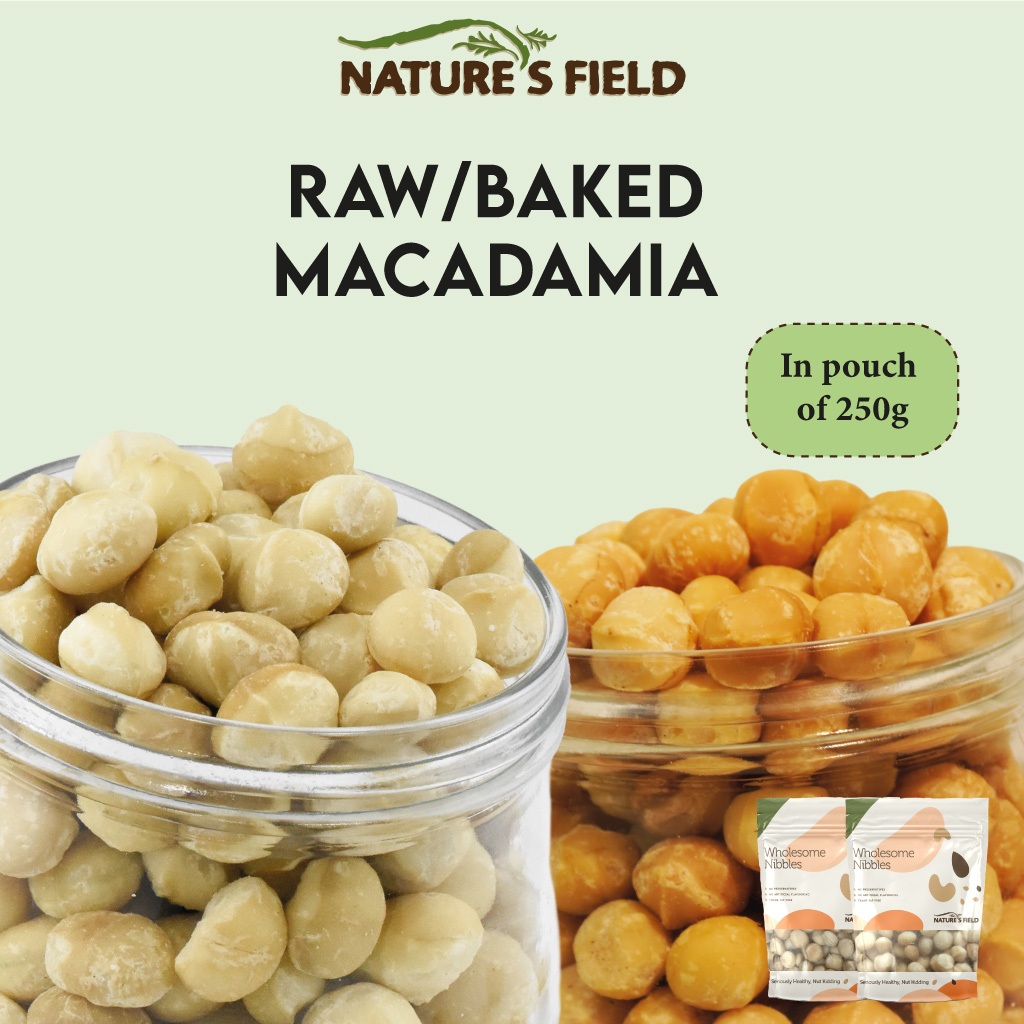 Raw/Baked Macadamia Nuts 250g | Shopee Malaysia