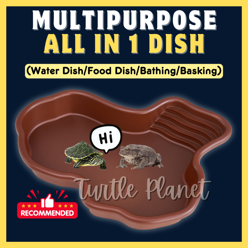 Turtle Water Dish Food Grade ABS Turtle Dish Turtle Bathing Accessories ...