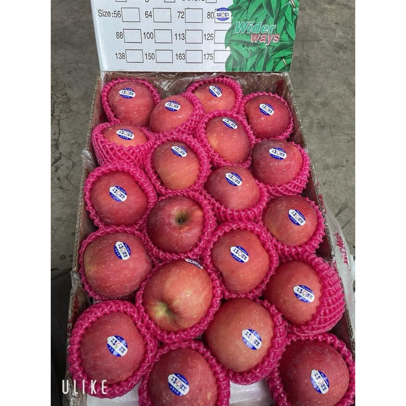 Korea Fuji Red Apple 富士红苹果 Epal（L size) | Shopee Malaysia