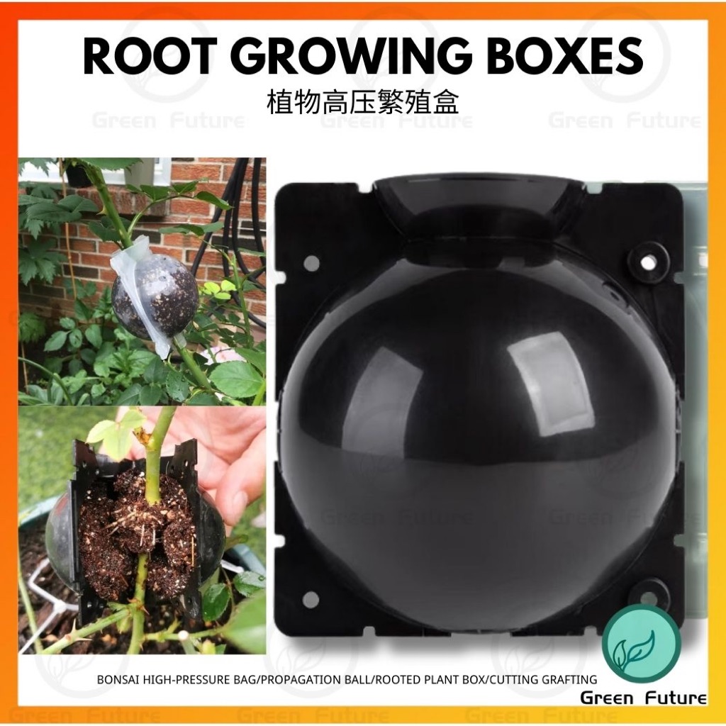 高压繁殖盒 Root growing boxes Rooting Boxes for Trees High Pressure Plant ...