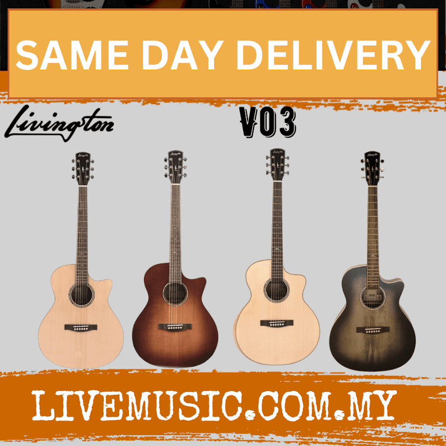 Livingston V03 41" Solid Top Acoustic Guitar, Rosewood FB ( V-03 V 03 ...