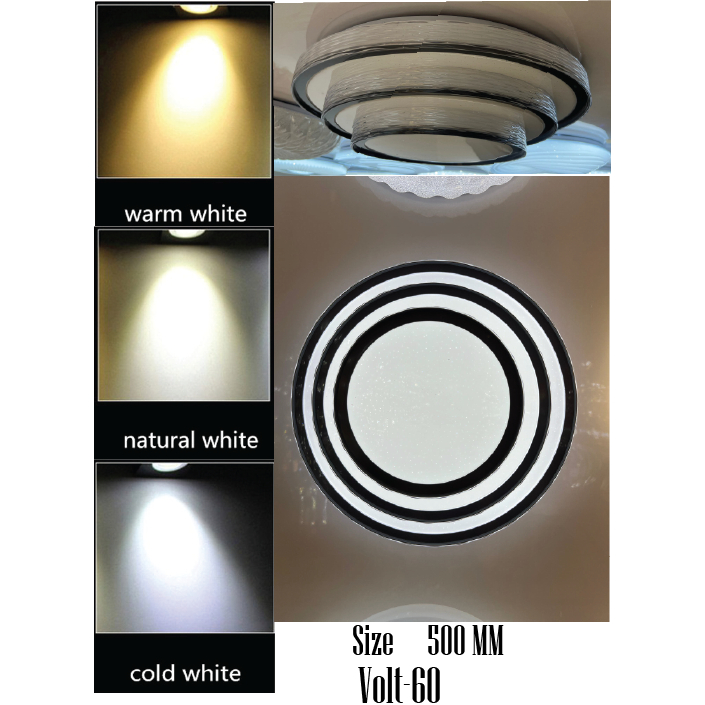 Modern Ceiling-Mounted LED Light Fixture with Circular Design, White ...