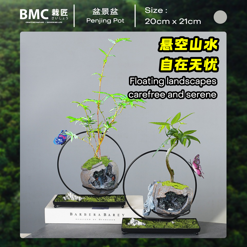 BMC Cross-border lucky bamboo money tree Nandina bamboo rice bamboo ...