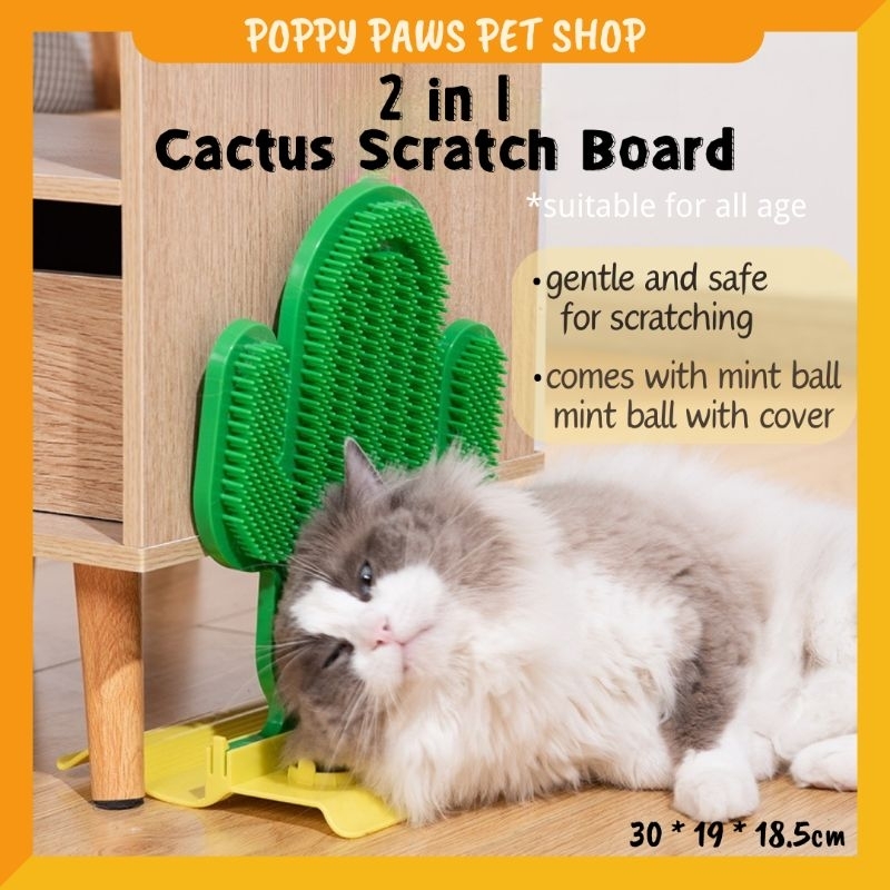Ready Stock ️Pet Cat Cactus Scratch Board Itching Brush Massage Pad ...