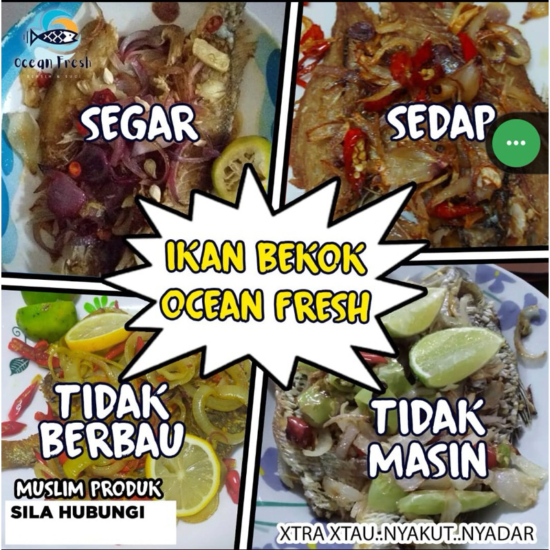 Ikan Bekok Ocean Fresh Viral | Shopee Malaysia