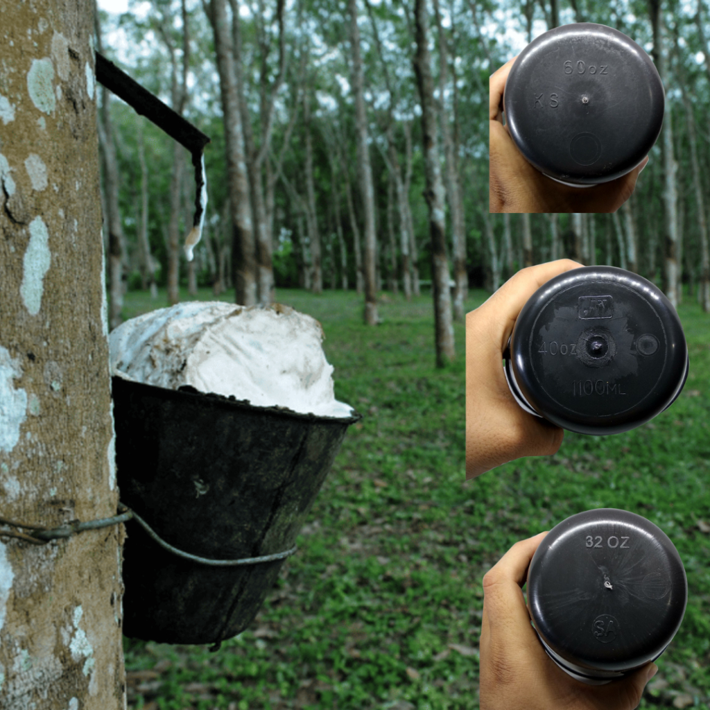 Vase Pot Cawan Susu Pokok Getah Pasu Bunga Plastik 32oz 40oz 60oz ...