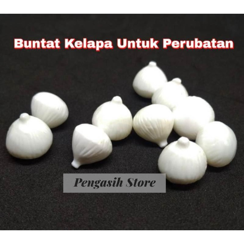 BUNTAT KELAPA / GELIGA KELAPA STOK TERHAD 💯 | Shopee Malaysia