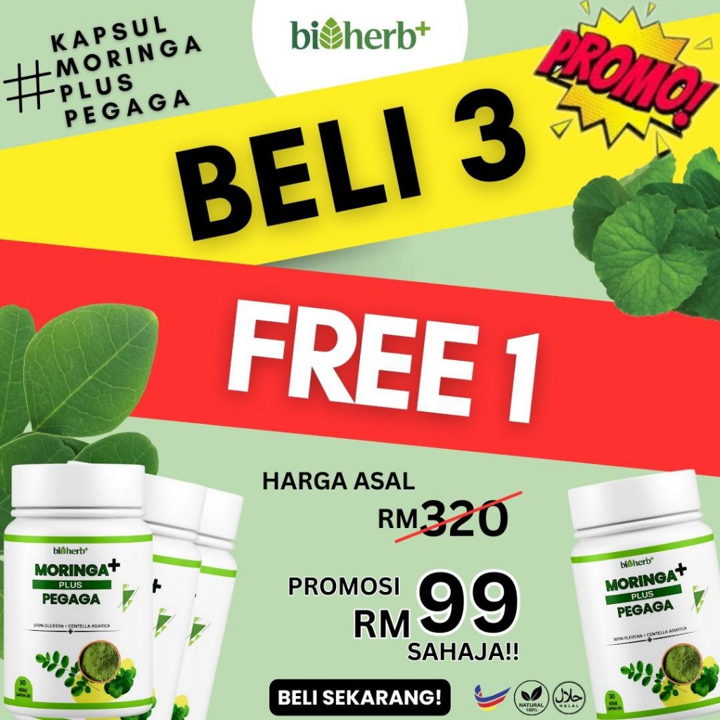 [Ready Stock] Moringa Pegaga Plus Original Halal Certificated Daun ...
