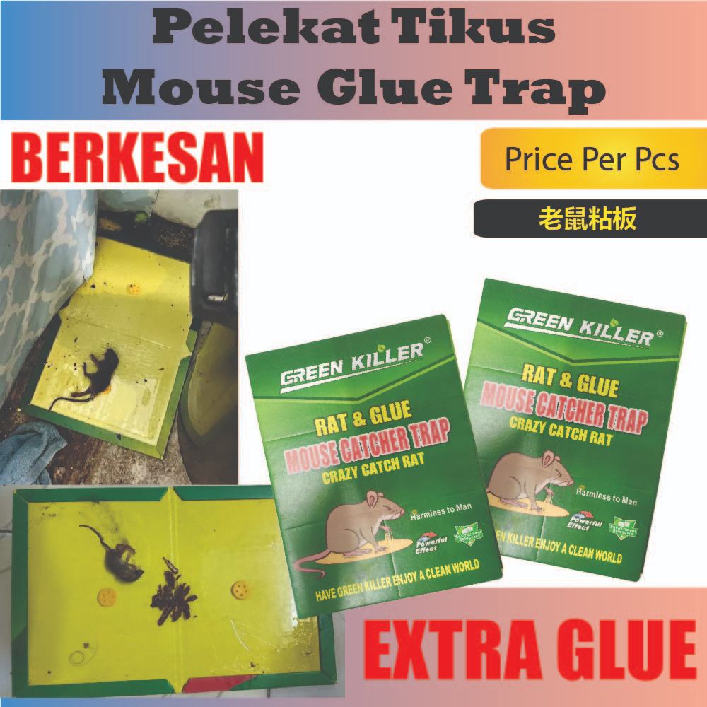 Perangkap Tikus Extra Gum / Super Mouse Glue Trap Extra Sticky And ...